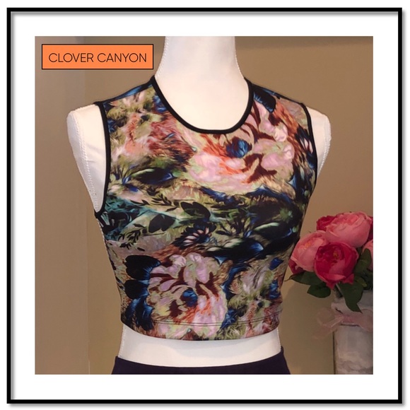 Clover Canyon | Tops | Clover Canyon Bright Sumptuous Roses Cropped Top ...